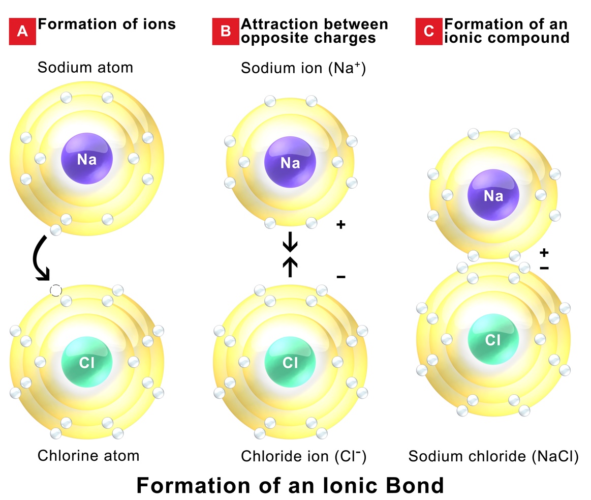Structure and Bonding – Organic Chemistry: Fundamental Principles ...